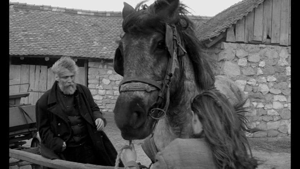 Turin Horse – Eternal Recurrance – KALA